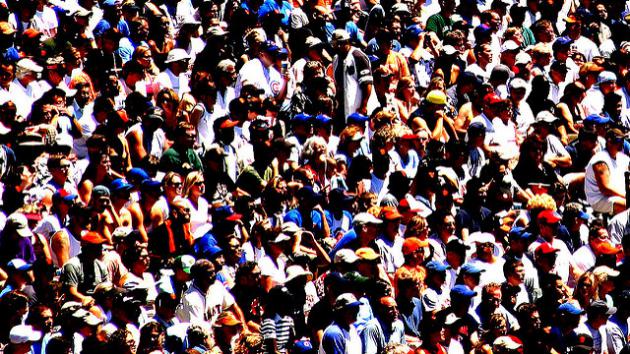 Brain size, social comparison and cooperative machines | British Council