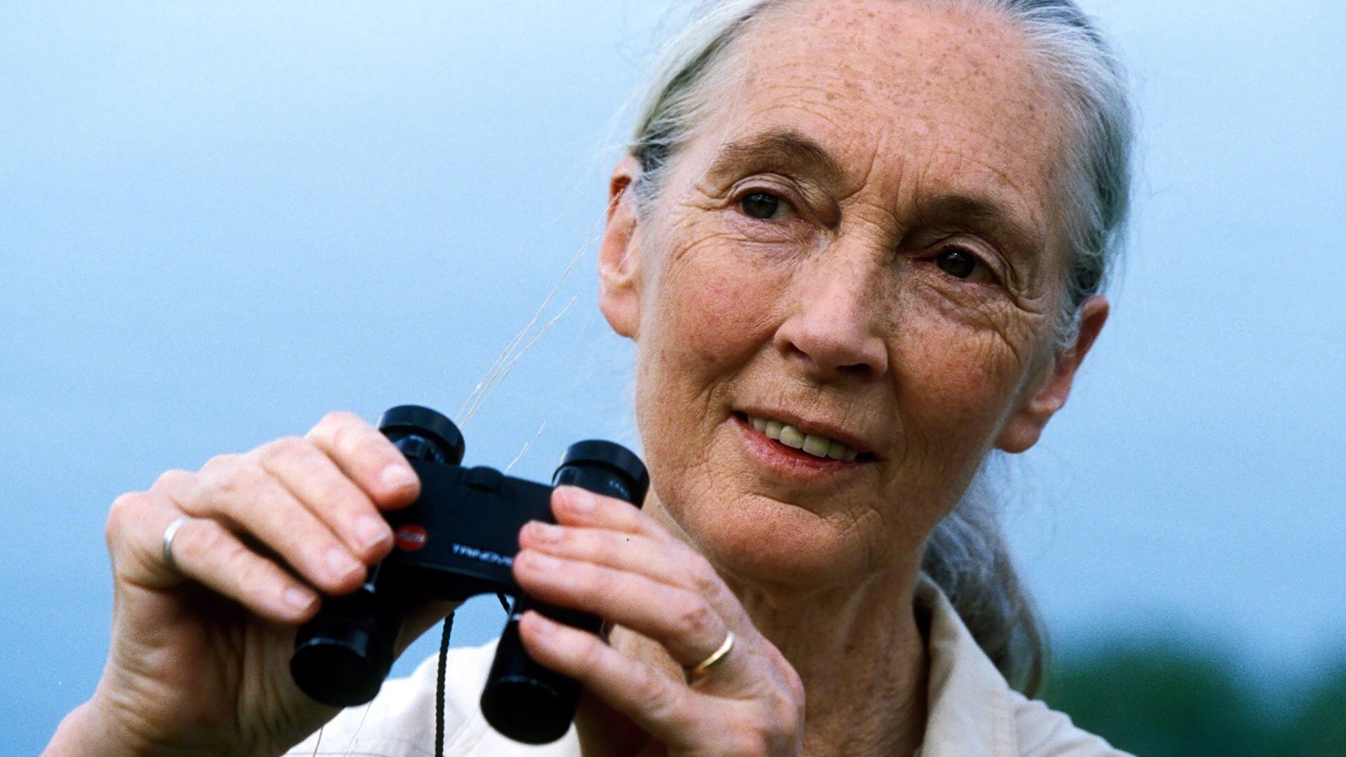 Reasons for Hope - Jane Goodall talk | British Council