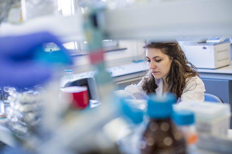 International Science Partnerships Fund (ISPF) - Research ...